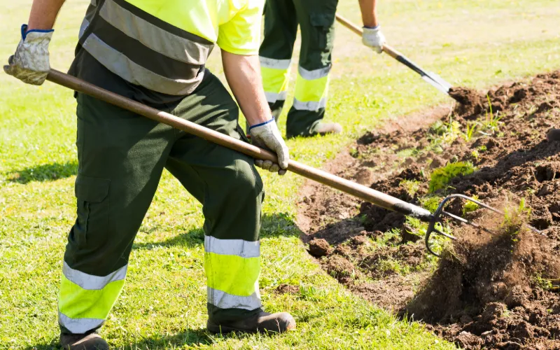 Diseño De Jardines Para áreas De Plazas Comerciales Creando Espacios
