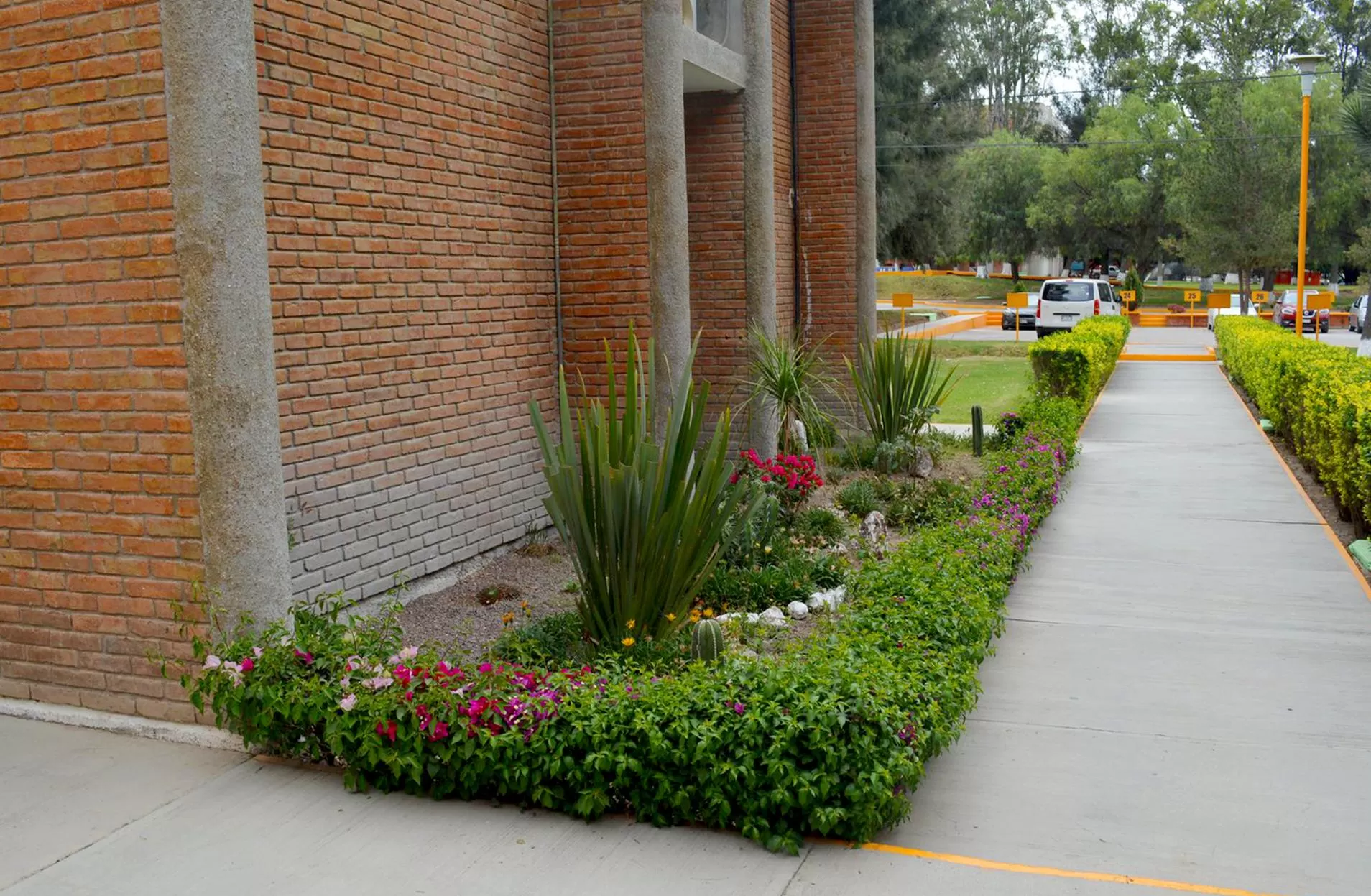Diseño de Jardín - Jardineria y Mantenimiento HR