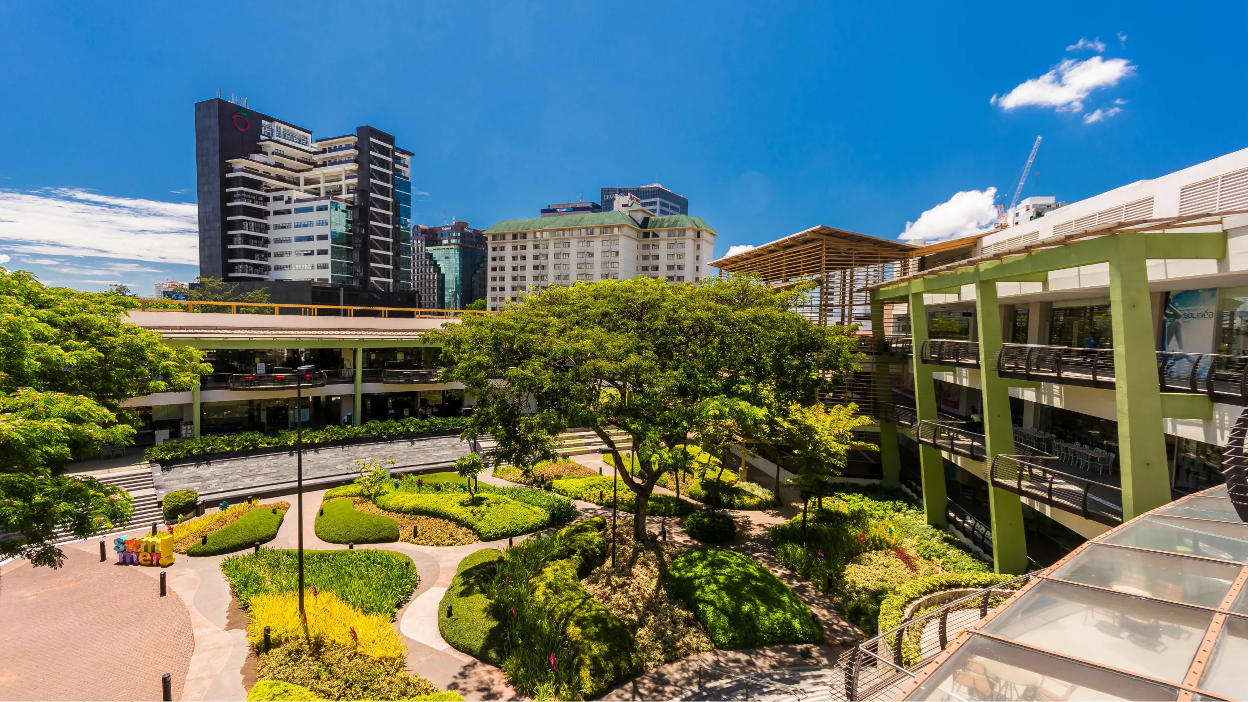Creando Jardines de Éxito para Plazas Comerciales