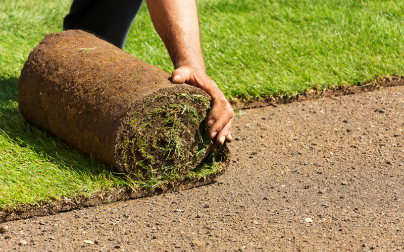 Pasos Previos a la Instalación de Pasto en Rollo: Guía Completa para un ...